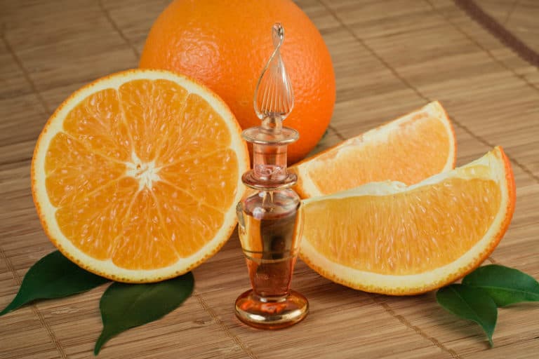 Orange Oil Vs. Fumigation Termite Treatments