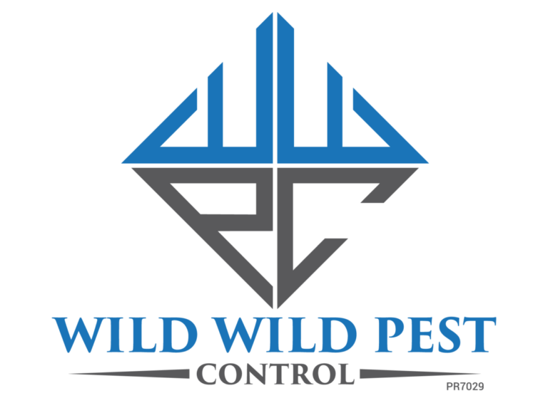 San Diego Termite Treatment - Wild Wild Pest Control | San Diego ...