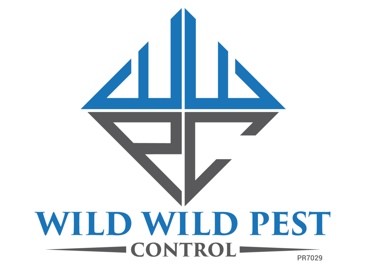 Wild Wild Pest Control in San Diego