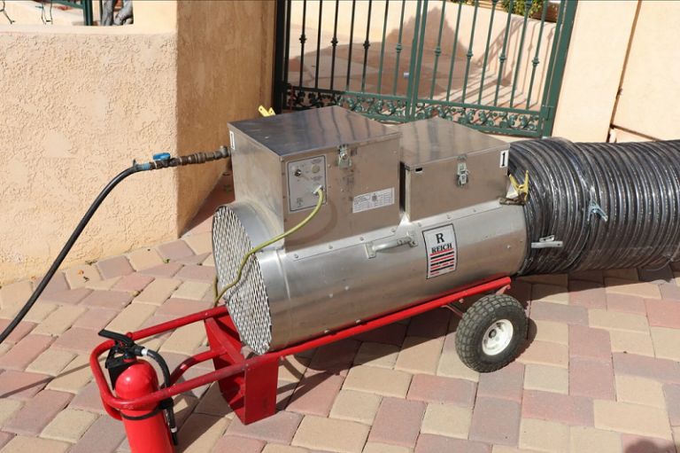 San Diego Termite Treatment - Wild Wild Pest Control | San Diego ...